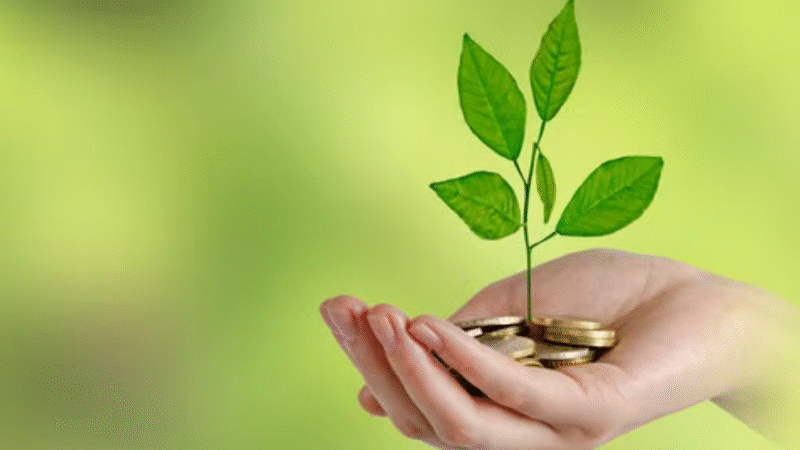 Mein Geld regiert die Welt – Geld nachhaltig und ethisch arbeiten ...